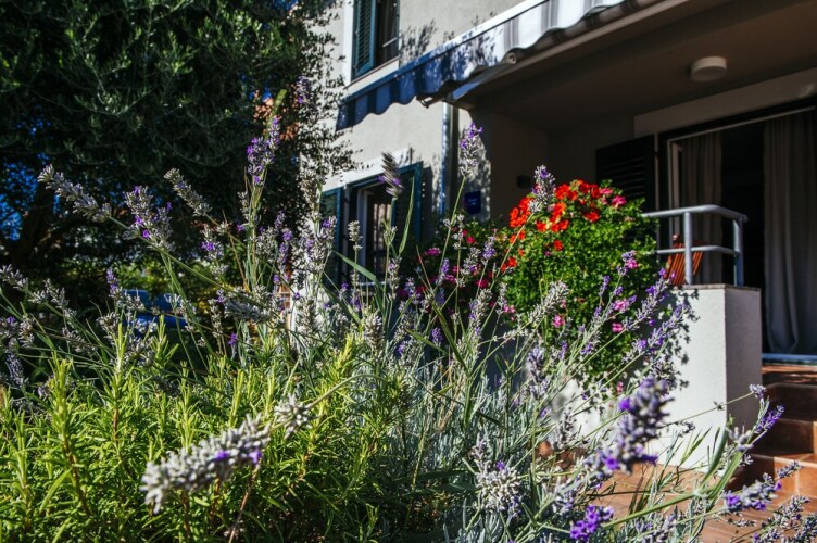 Villa Mirakul - Sukošan