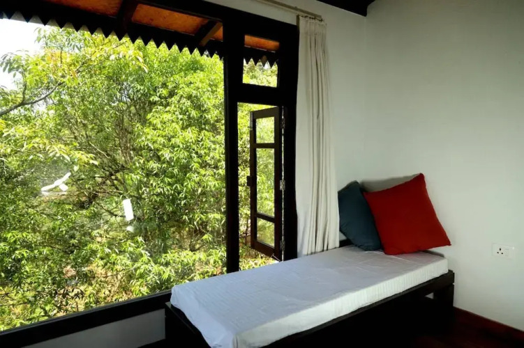 Redpanda Jungle Camp - Sikkim