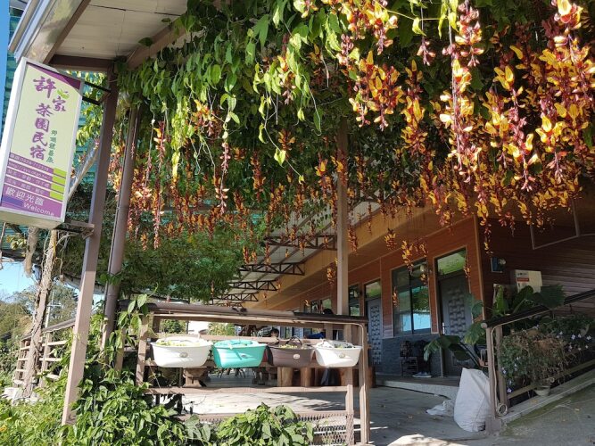 Xu Jia Chayuan B&b - 아리산 향