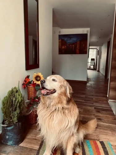 Sweet Colombian Home - Bogota