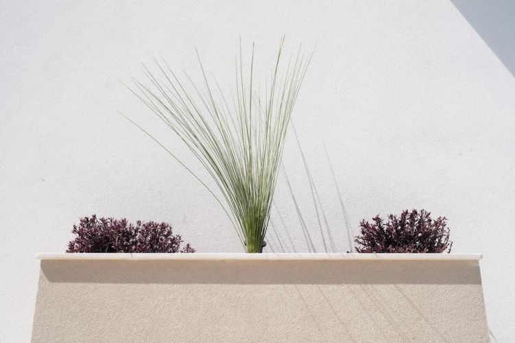 Kalinifta Rooms Luxury Style - Torre Lapillo