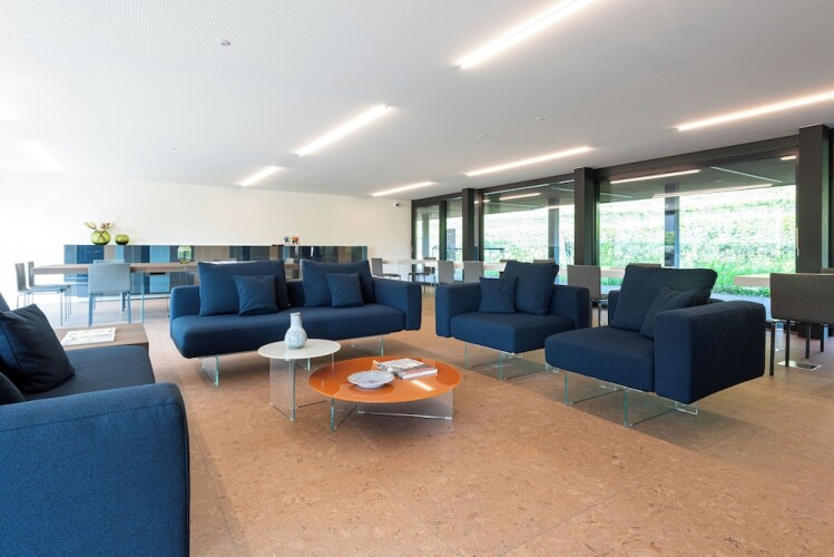 Lo Scudo Di Stabio - Lake Como