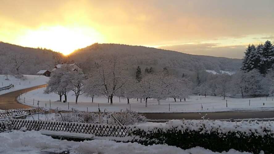 Landgasthof Grüner Baum - Badenweiler