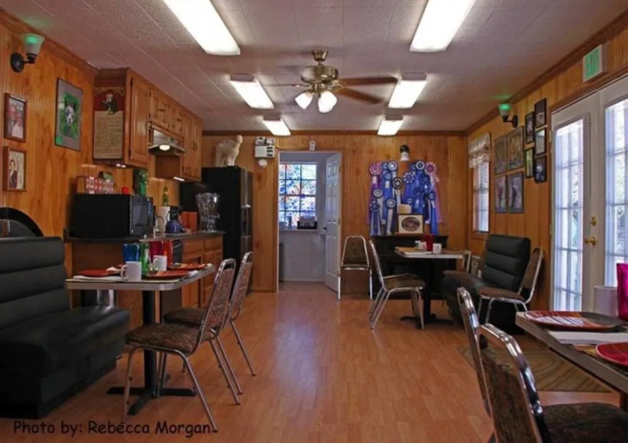 Old Irish Inn - Denton, TX