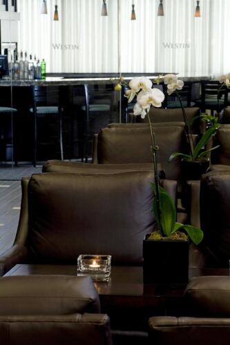 The Westin Tysons Corner - Fairfax, VA