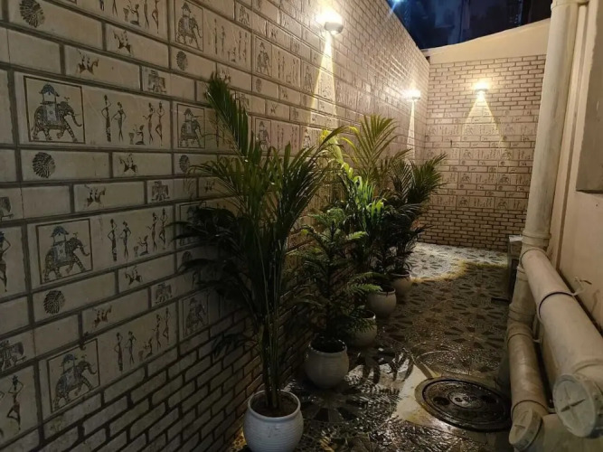 Icy White Rose - Calcutta