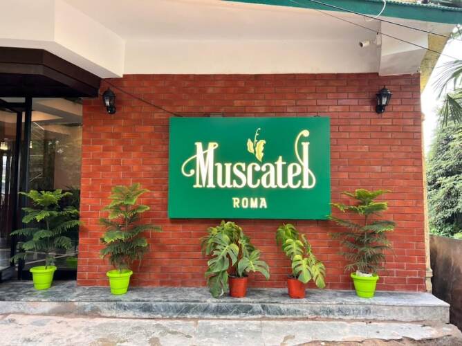 Muscatel Roma - Darjeeling