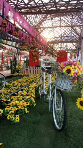 Desa Bahasa Syariah - Borobudur