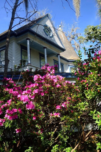 Daffodale House B&b - Florida