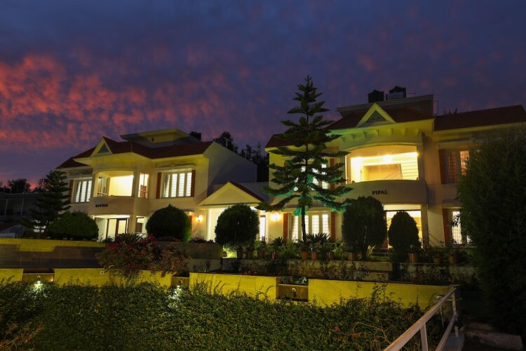 Twin Tree - Kotagiri