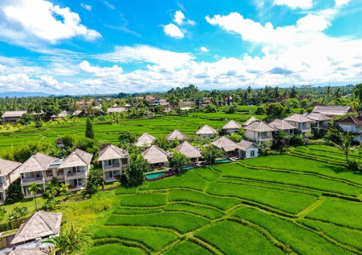 Mesari Hotel Ubud - Ubud