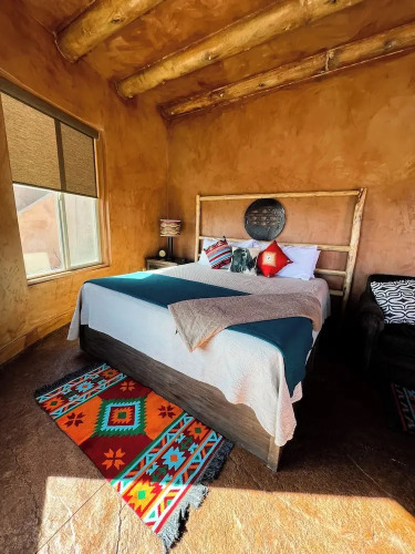 Zion White Bison - Utah