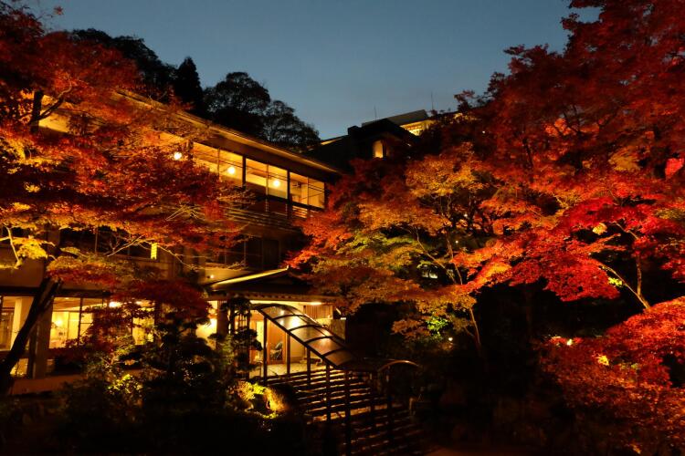 Negiya Traditional Japanese Spa Ryokan - Kōbe