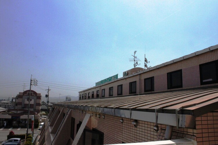 Palace Inn Toyota - Toyota