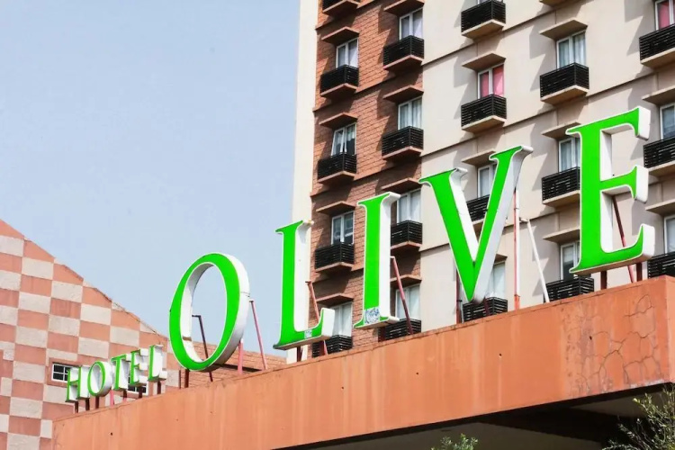 Hotel Olive - Cimone