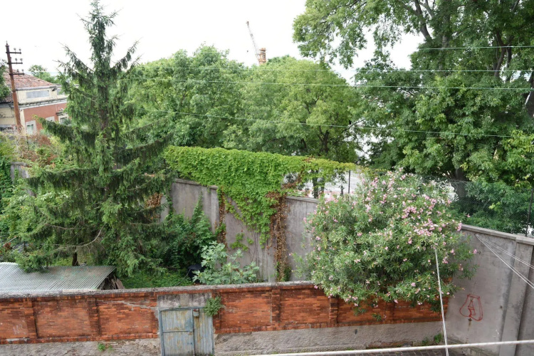Casa Minestra - Venice