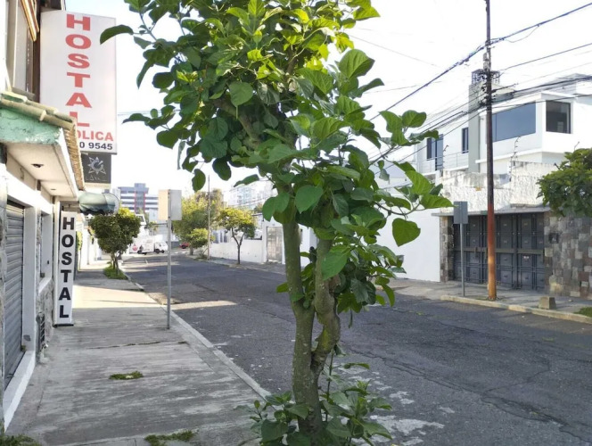 Hostal La Catolica - Quito