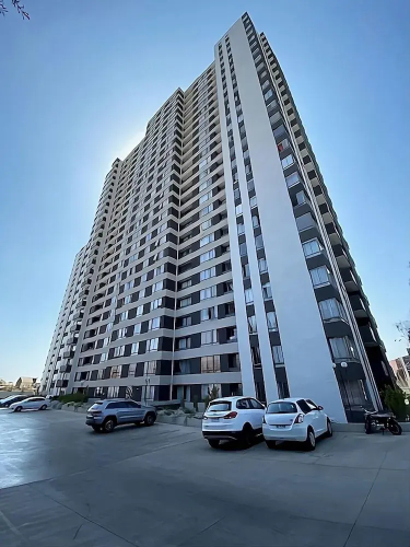 Loica Host - Santiago