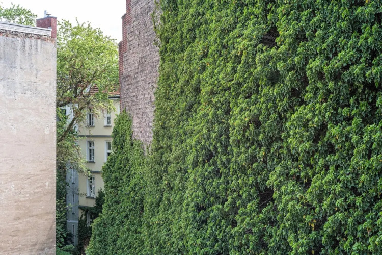Wilmina Suites - Berlín