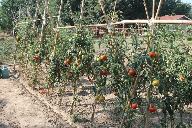 La Garona - Castelsarrasin
