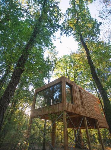 Loire Valley Lodges - Hotel - Indre-et-Loire