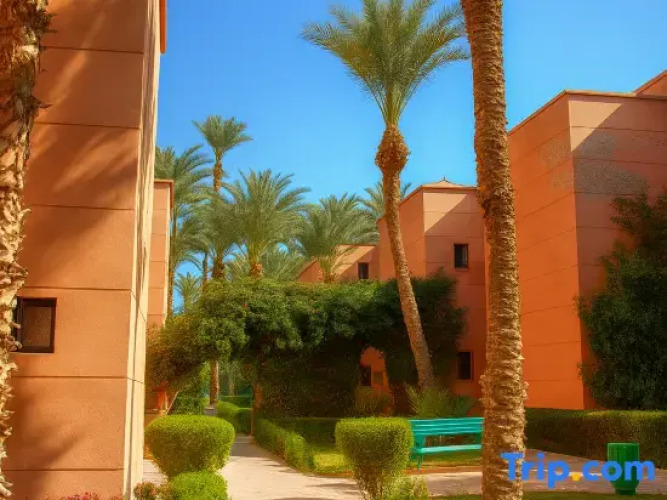 Riad Amirkesh And Pool - Marrakesh