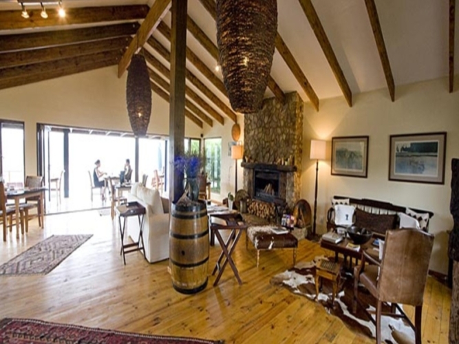 Elephant Hide Of Knysna Accommodation - Knysna