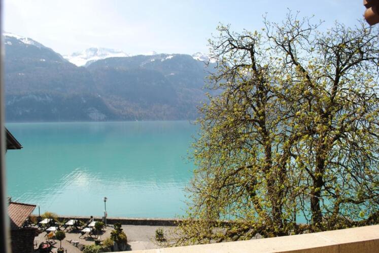 Hotel Brienzerburli - Brienz
