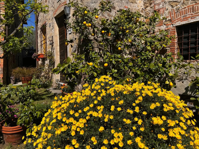 La Casina Dei Frati - Lucques