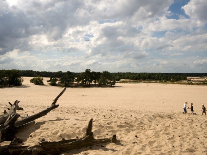 Comfortable Tent Lodge Near The Loonse And Drunense Duinen - Loon op Zand