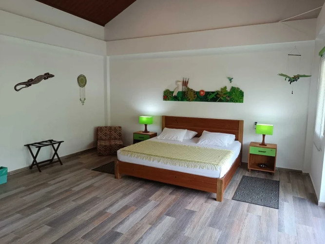 Blue Lizard House - Caribbean