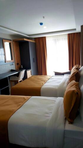Rua World Hotel - Van
