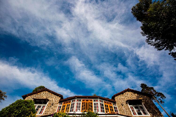 Zostel Kodaikanal - Hostel - Kodaikanal