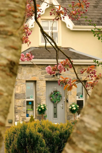 Parkhouse Bed And Breakfast - Limerick City