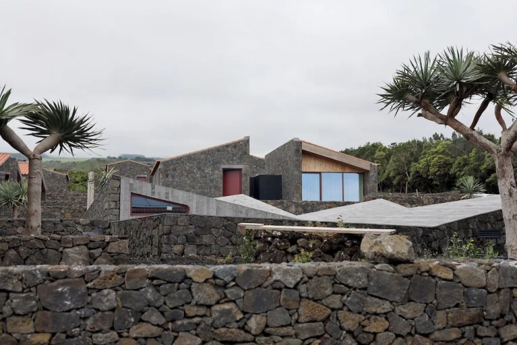 Pico Vineyards - Ilha do Pico