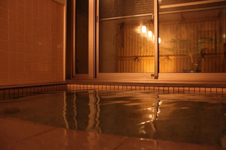 Echigoya Ryokan - 秩父市