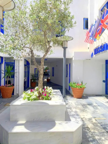 Kassavetis Apartments - Crete