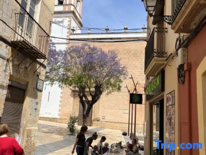 Loreto N1 - Dénia