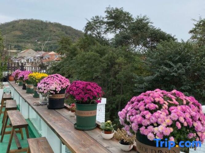 Qingdao Lanhu Meishu - Qingdao