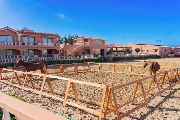 Royal Club Detroit Bed And Breakfast - Tangier, Morocco