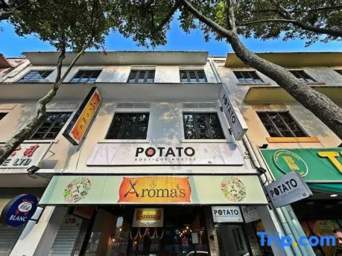 Potato Boutique Hostel - 