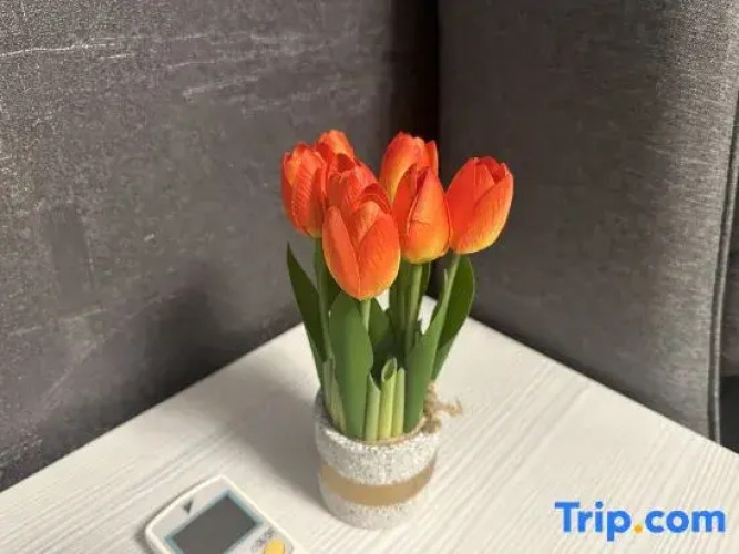 Teega Modern 4br 12pax Pooltable - Iskandar Puteri