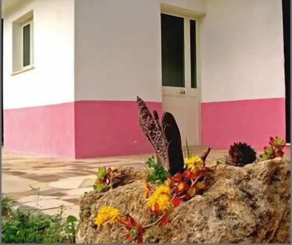 Agriturismo La Natura - Salento