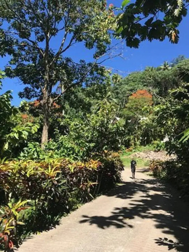 Rabot Hotel From Hotel Chocolat - Saint Lucia