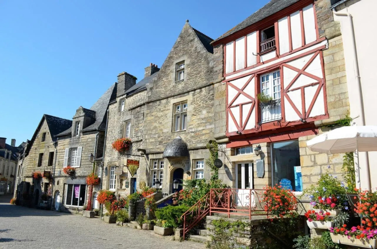 Domaine Du Moulin Neuf - Rochefort-en-Terre