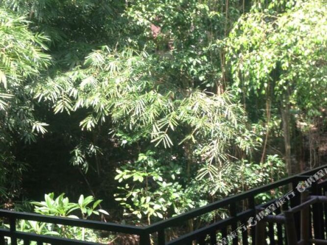 Green View Ubud - Ubud
