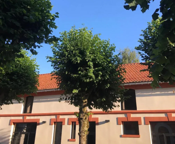 Le Clos De La Pomponnette - Seine-et-Marne