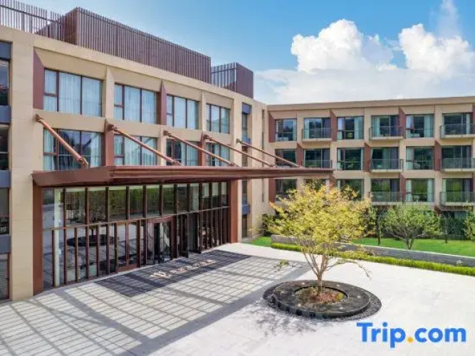 Urban Oasis Apartment - Nankin