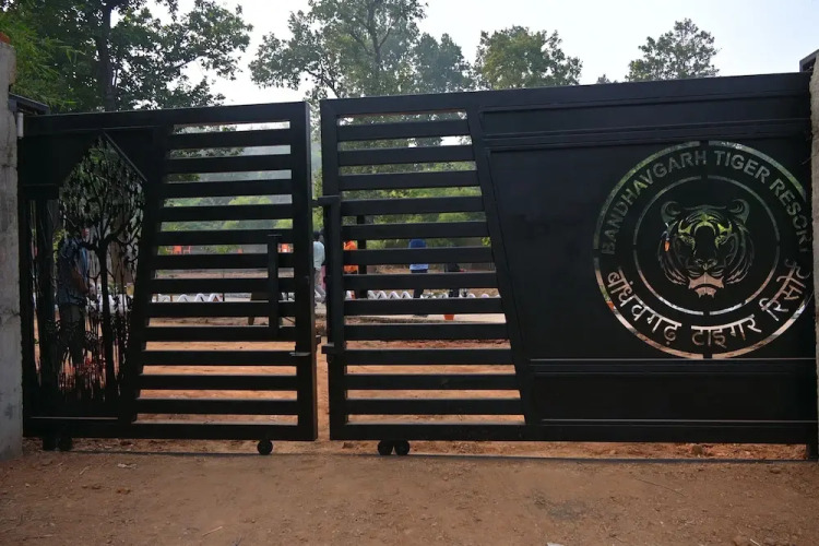 Bandhavgarh Tiger Resort - Bandhavgarh National Park