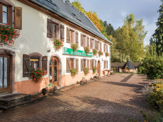 Le Bouton D'or - Alsace